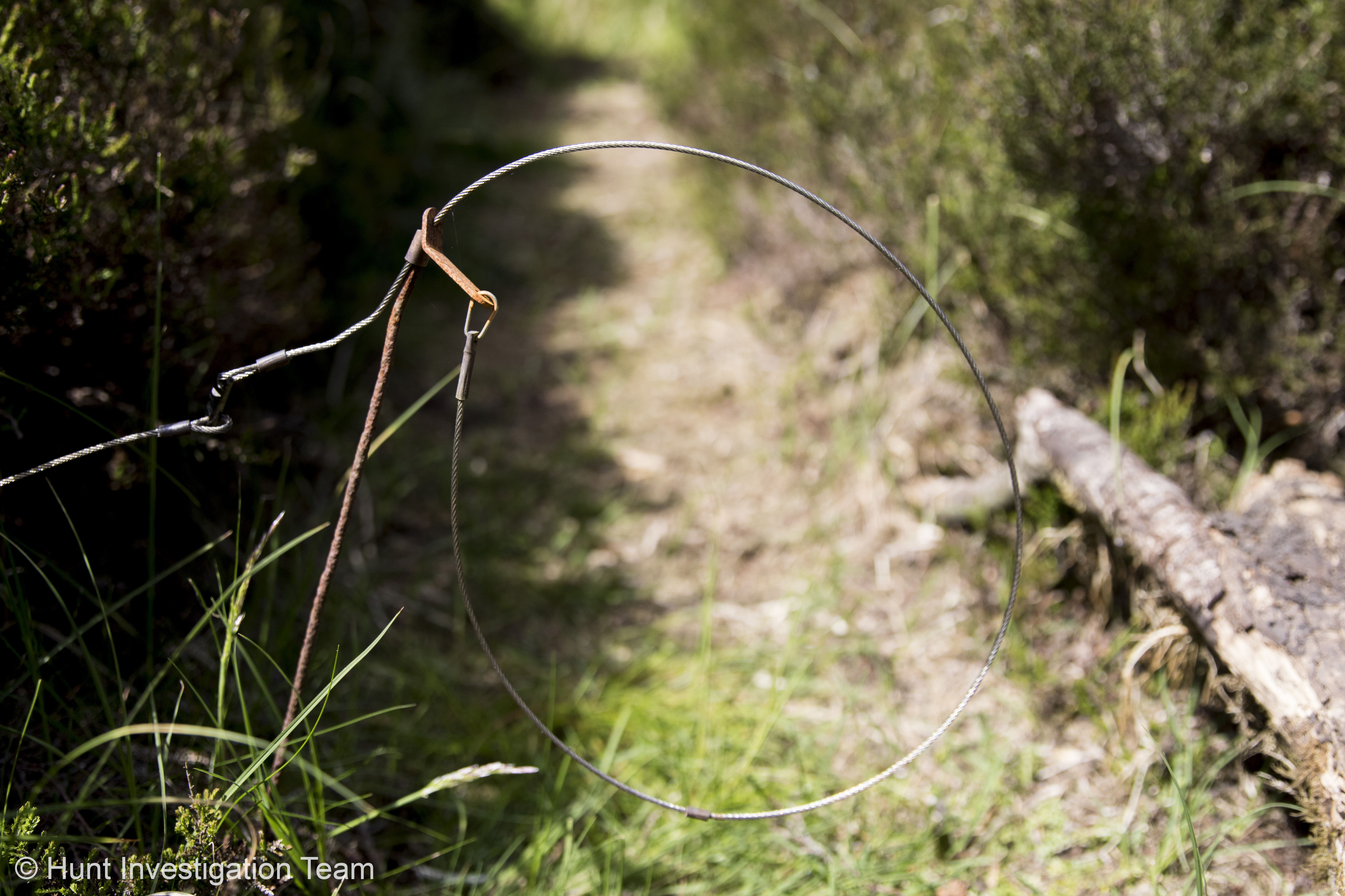 Traps of the Moscar Estate